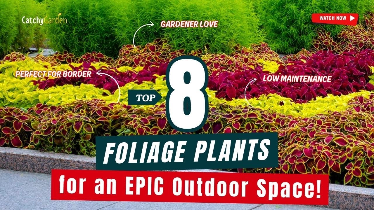 TOP 8 FOLIAGE PLANTS for an EPIC Outdoor Space! 🌿🔥🌳 // Gardening Ideas ...