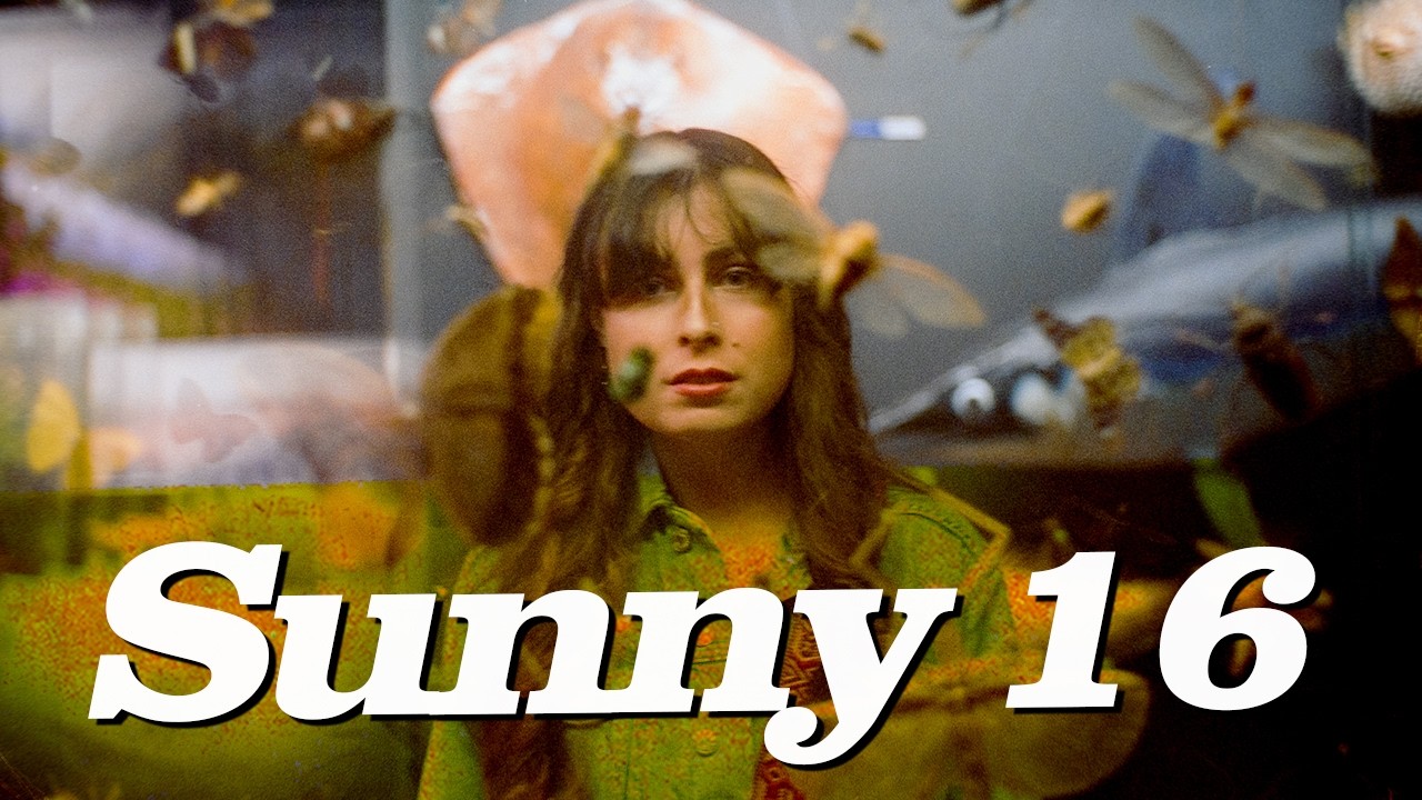 How I Learnt The Sunny 16 Film Photography Rule | Canon P - YouTube