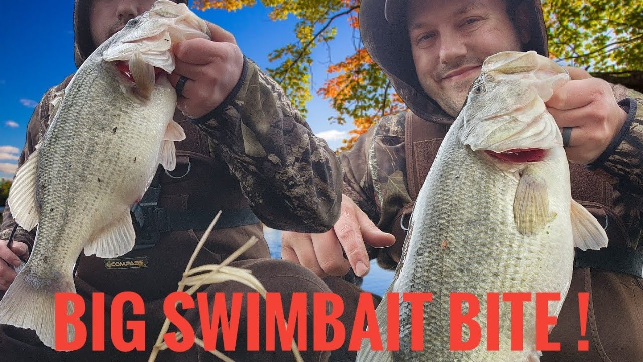 8 inch magdraft on a windblown point - YouTube