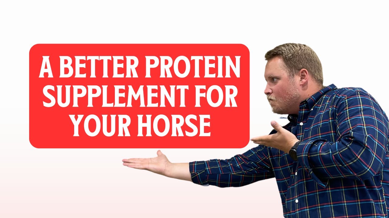 A Better Protein Supplement for Your Horse - YouTube