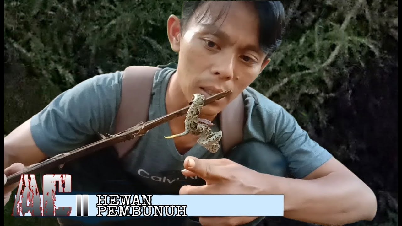 memasuki habitat ular tanah ( ranjau darat ) yang sering memakan korban ...