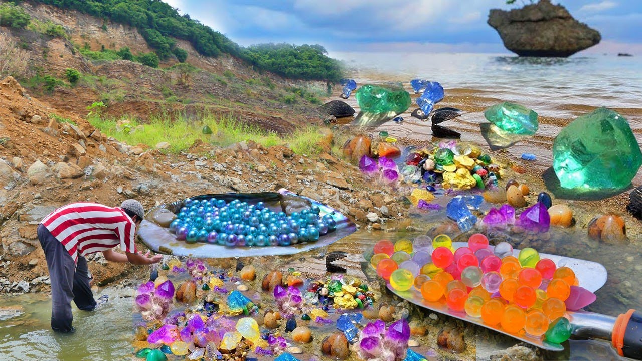 At low tide, pearl crabs line the beach. Pearls in blue shells with ...