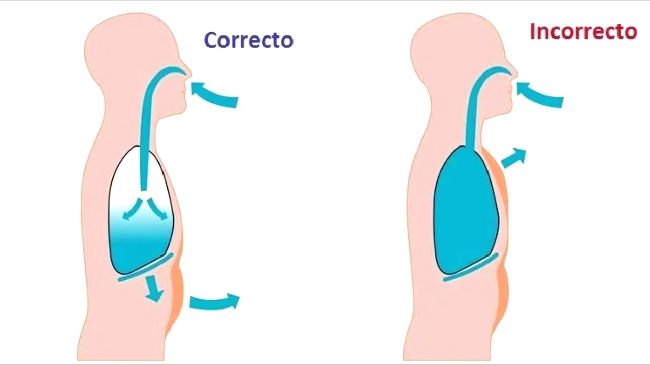 respiracion - YouTube