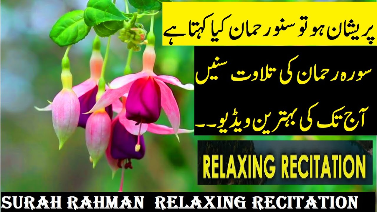 Surah Rehman Full | Surah Rahman | heart touching surha rehman ...