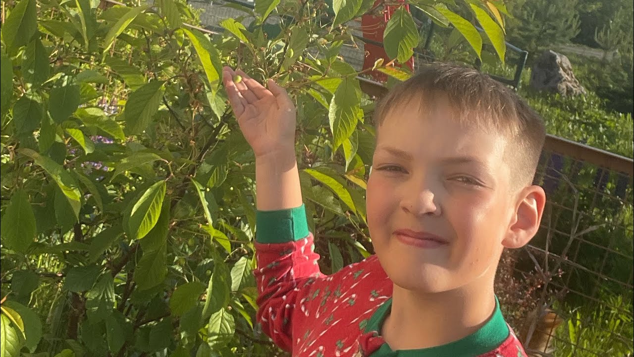 Релакс с растениями - YouTube