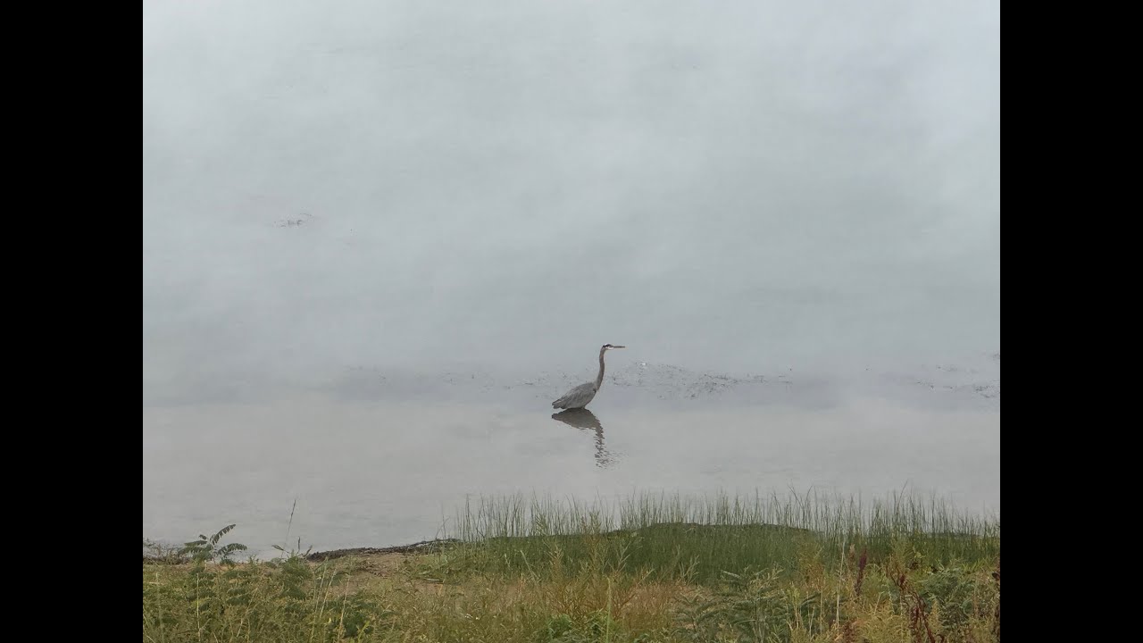 What happens when the spring runs dry? - YouTube