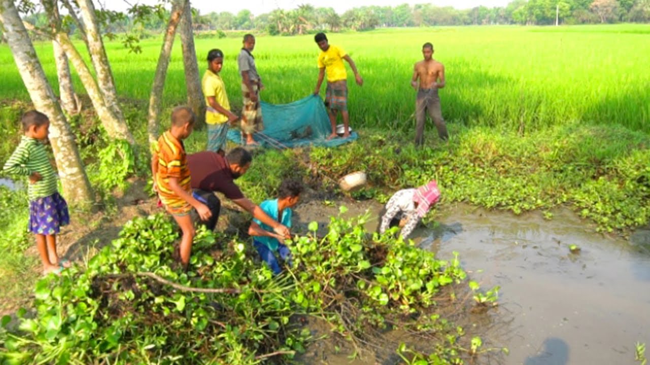 Believe This Fishing ? Amazing Asian Traditional Hand Fishing From ...