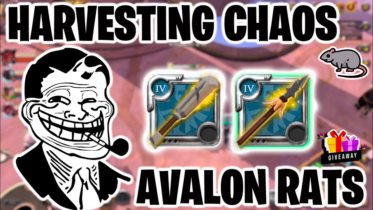 🐀HARVESTING CHAOS, AVALON RATS🐀| POWER OF THE RAT | ALBION ONLINE ...