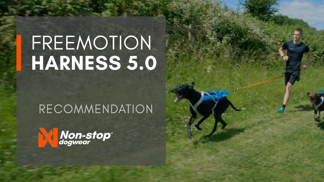 Freemotion harness 5.0 now in a new color! - YouTube