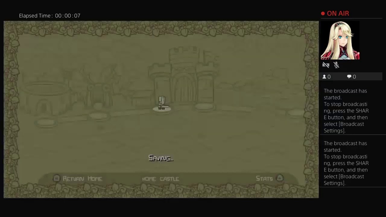 Castle crashers fencer pt. 2 - YouTube