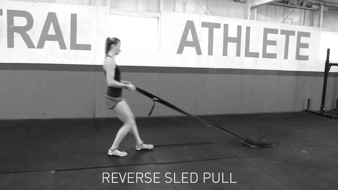Reverse Sled Pull - YouTube