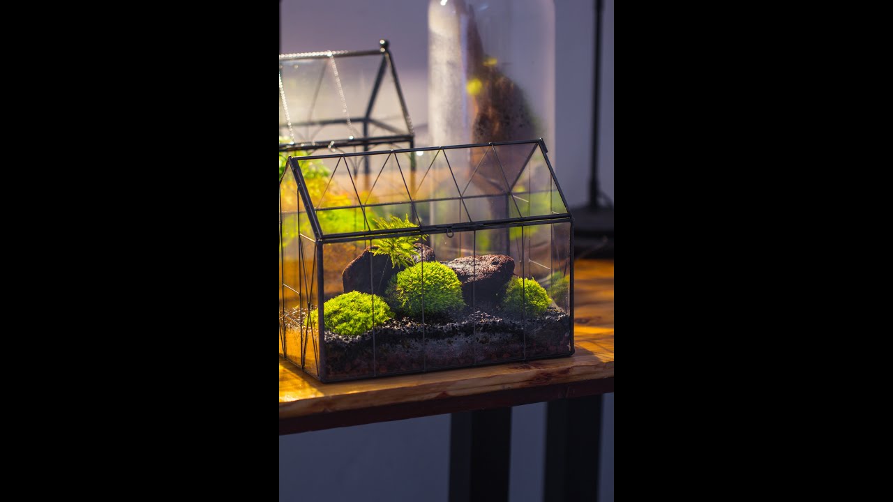 zen style moss terrarium building video: super easy terrarium tutorial ...
