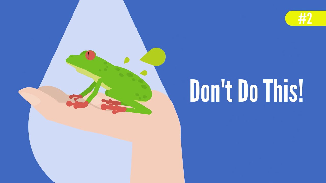 How To Handle Amphibians - Warexamination15