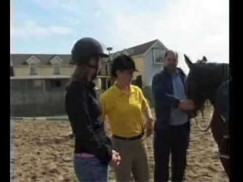Lenamore Stables - YouTube