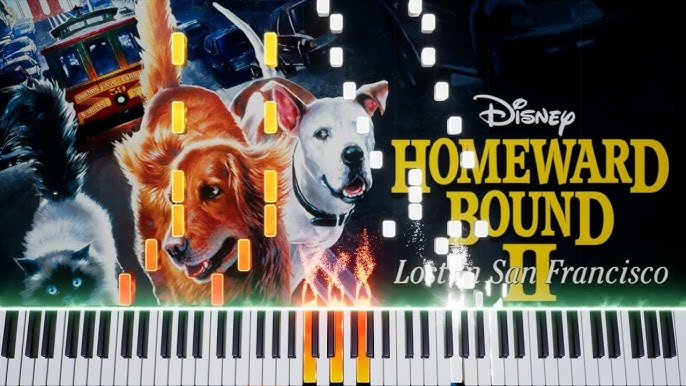 Homeward Bound 2 Lost In San Francisco Poster