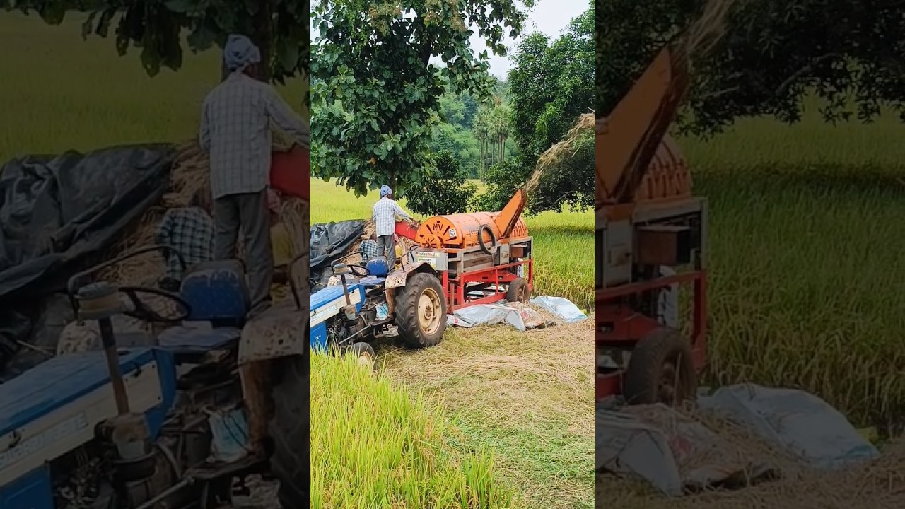 Paddy cleaning machine #Short - YouTube