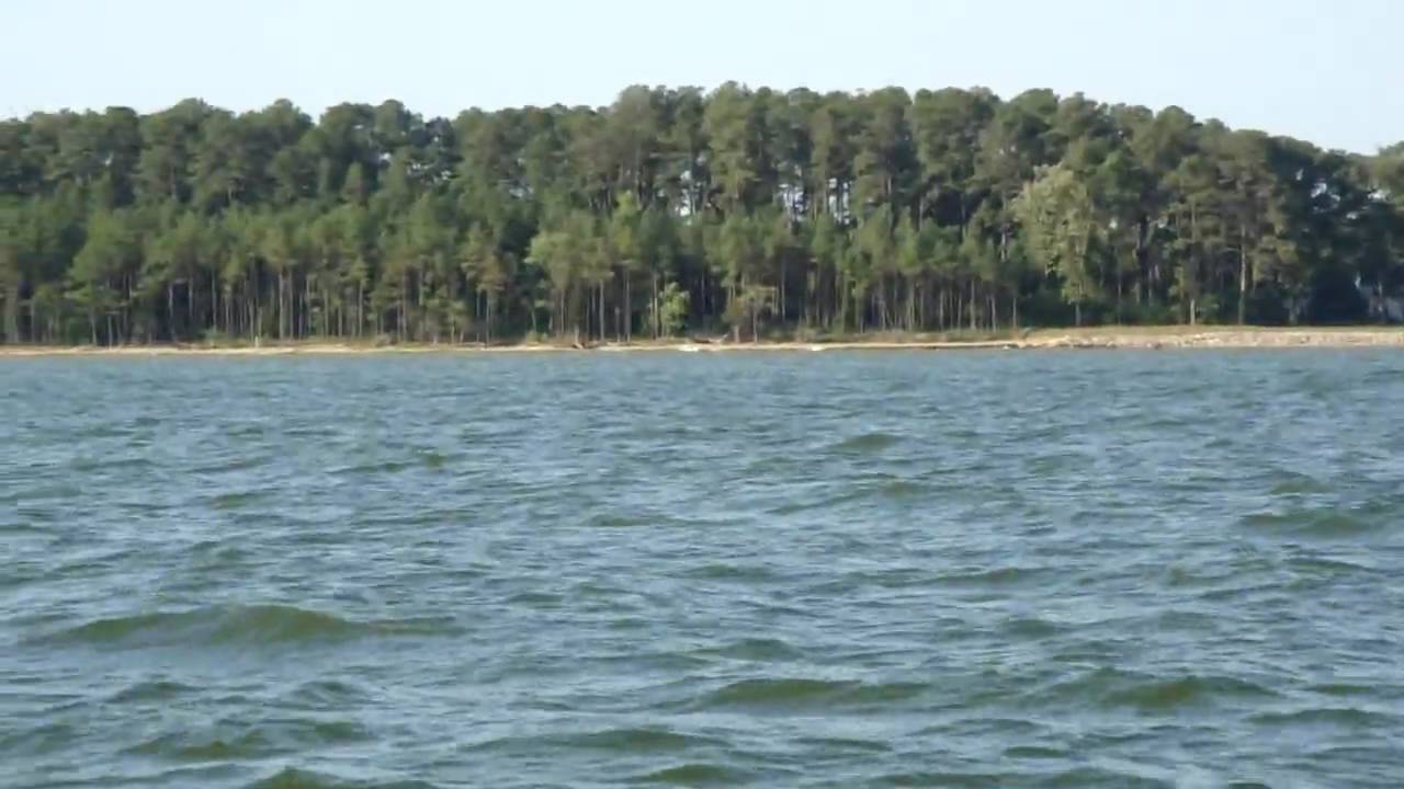 Dolphins in Yeocomico River VA - YouTube