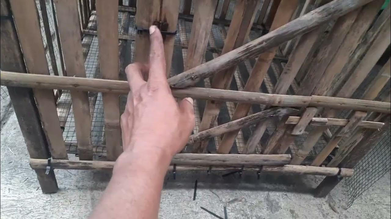 TUTORIAL MERAKIT KANDANG AYAM BAMBU BONGKAR PASANG. - YouTube