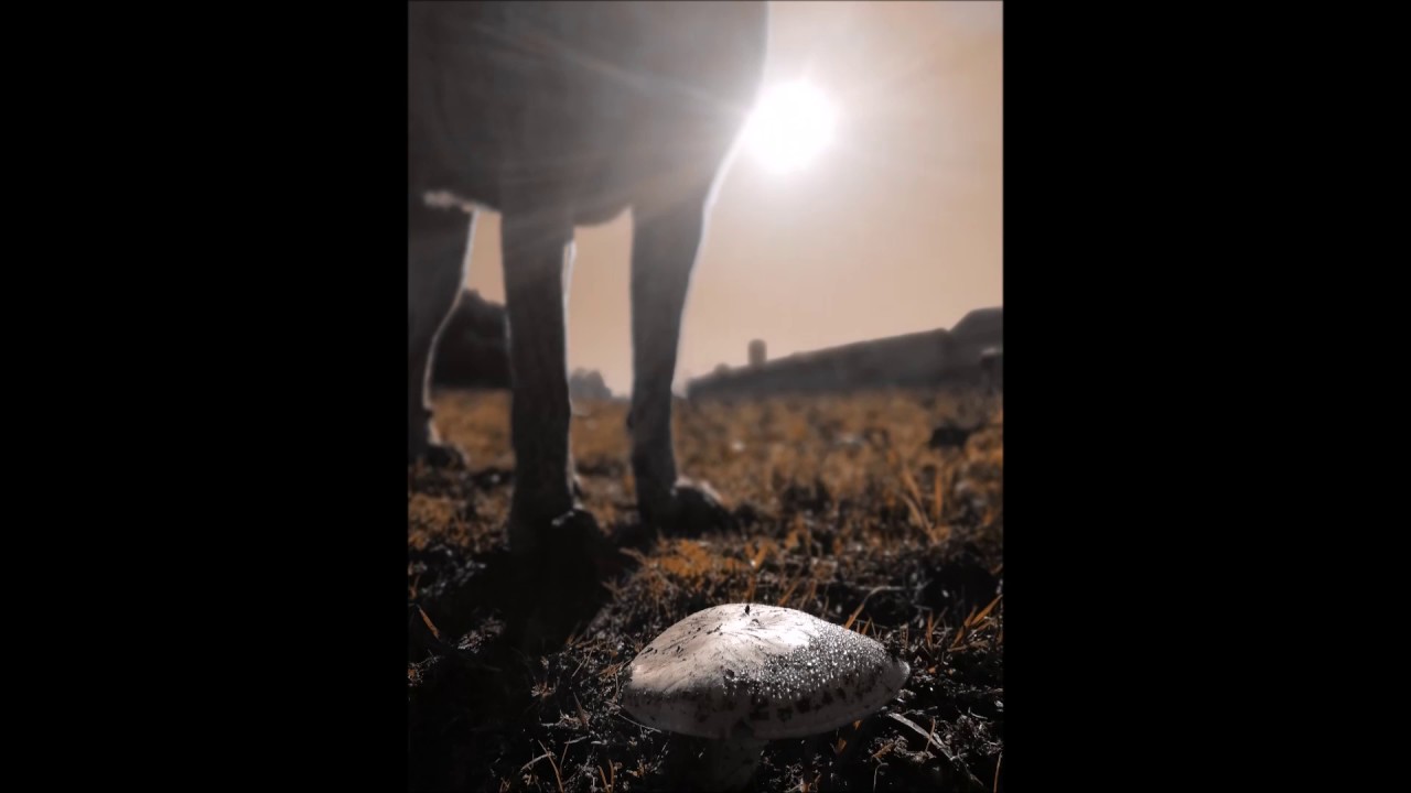 Delerium - A Poem for Byzantium (Circle of the Elves) - YouTube