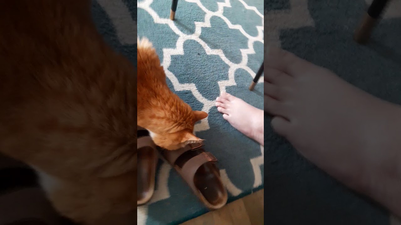 Monte eats toe jam - YouTube