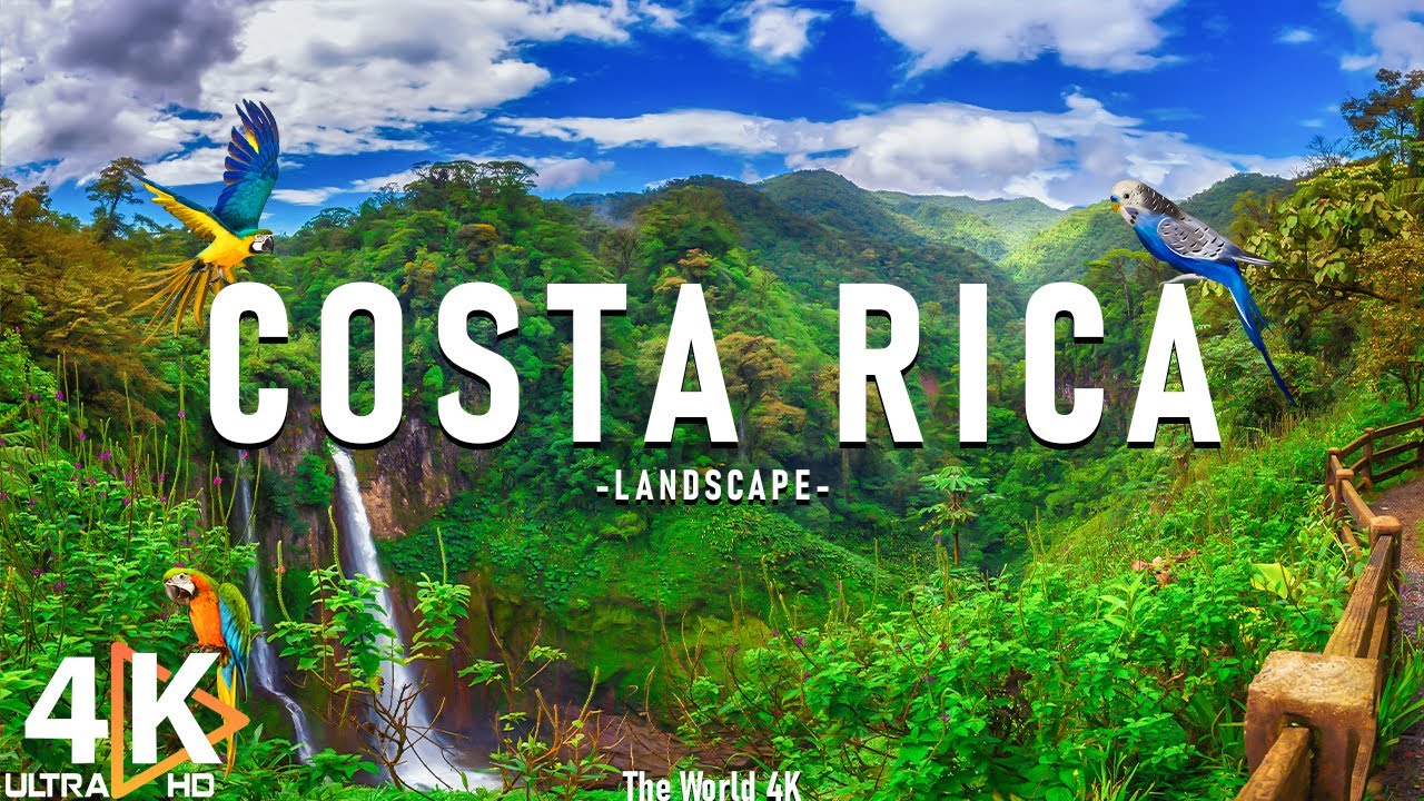 Costa Rica • Forest 4K Relaxation Film • Peaceful Relaxing Music ...