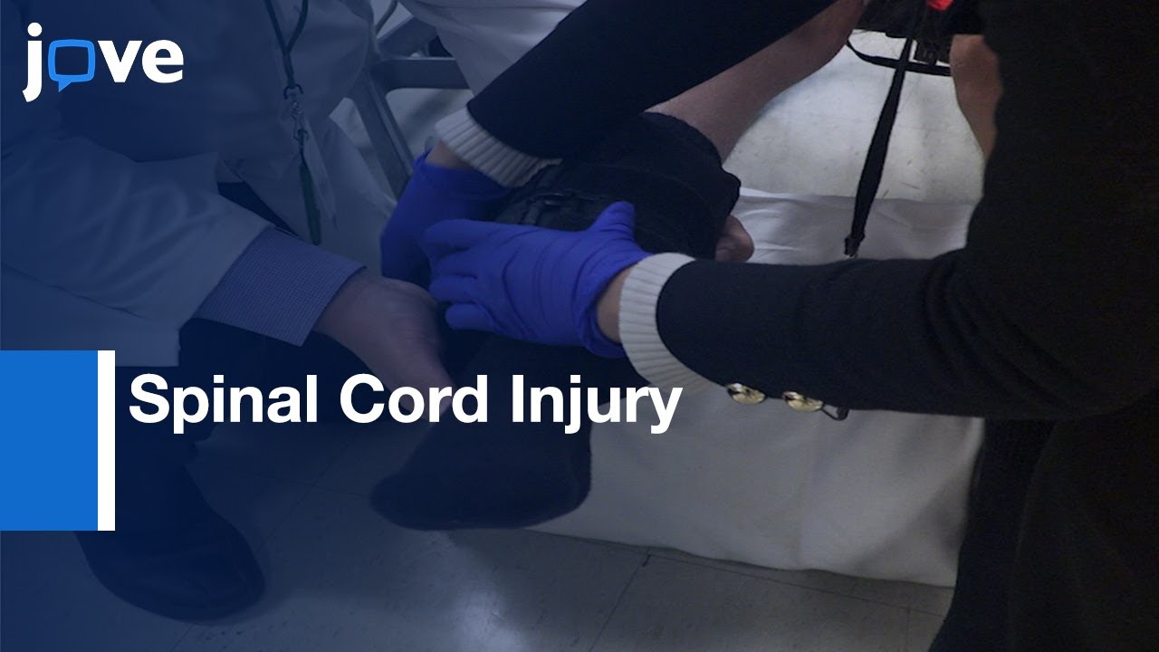 Paradigms Of Lower Extremity Electrical Stimulation Training l Protocol ...