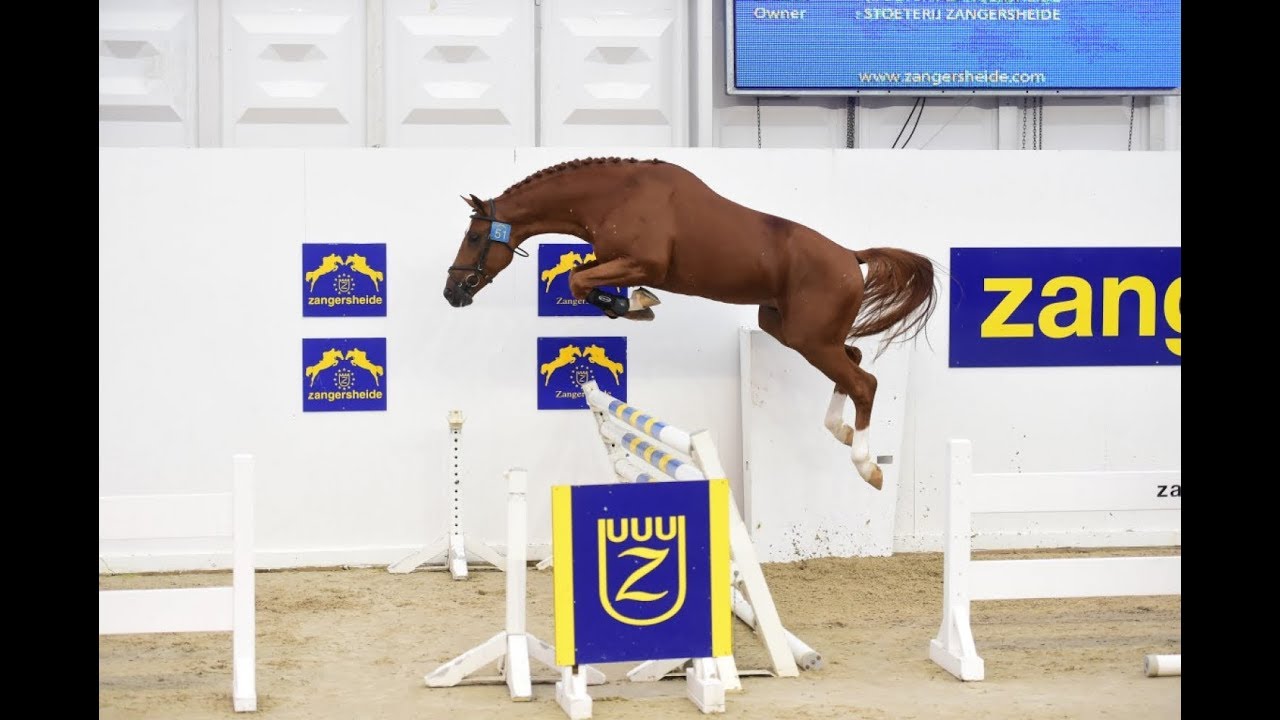 Como escolhi o pai para o poldro da Atlanta!! - YouTube