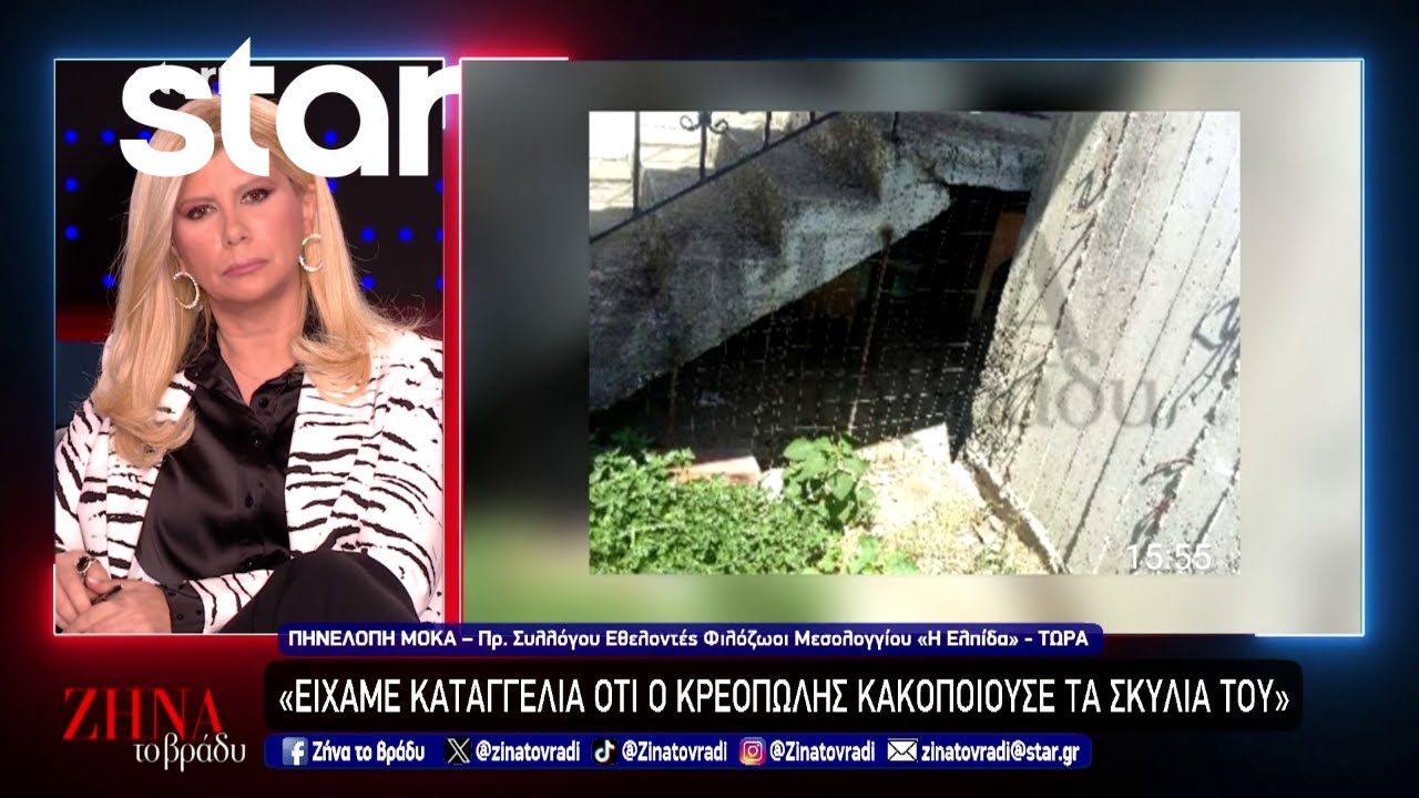 Μεσολόγγι: Συγκλονιστική αποκάλυψη για το παρελθόν του κατηγορούμενου ...
