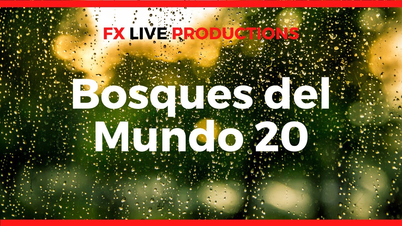Bosques 20 4K HD 2020 Arboles Paisajes Cascadas Montañas mas Bellos de ...