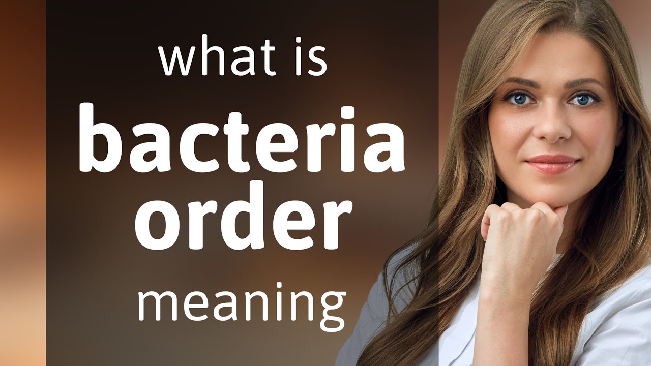 Bacteria order — BACTERIA ORDER meaning - YouTube