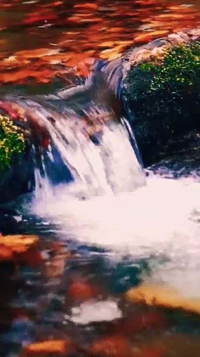 Small Waterfall Like a Drain / Waterfall Sound /#shorts #youtubeshorts ...