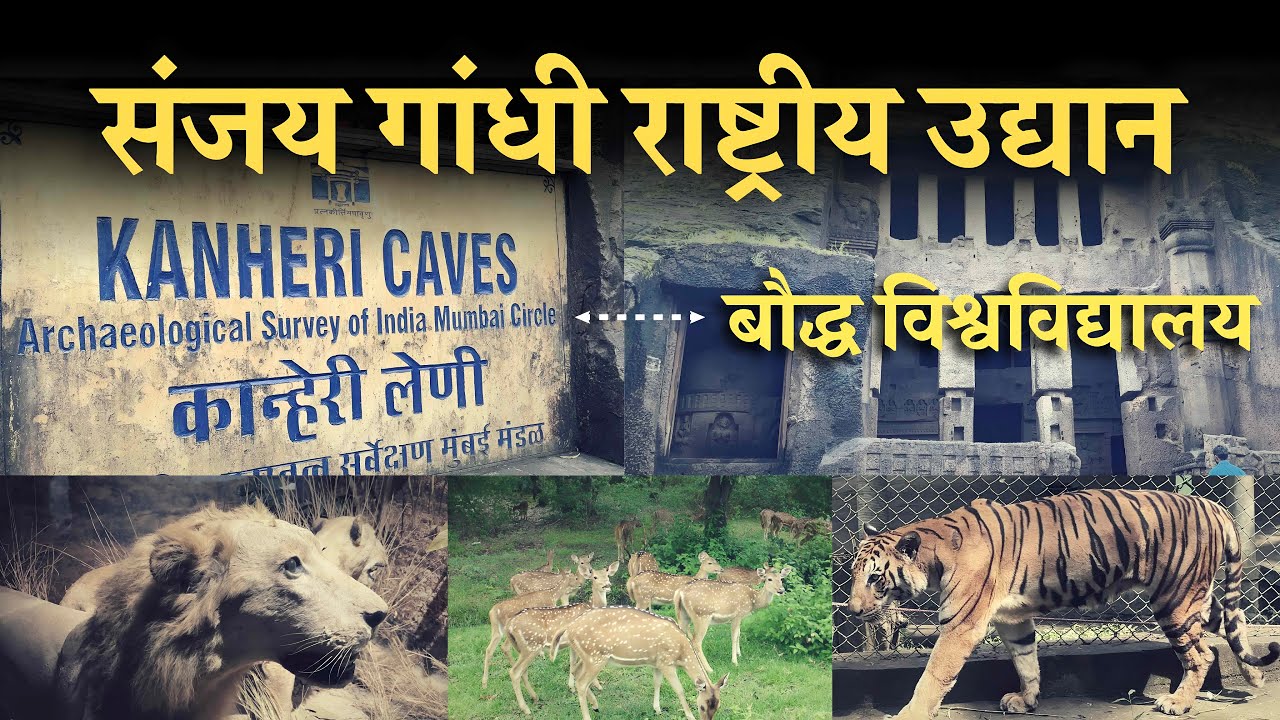 Sanjay Gandhi National Park Mumbai Complete Tour | Kanheri Caves ...