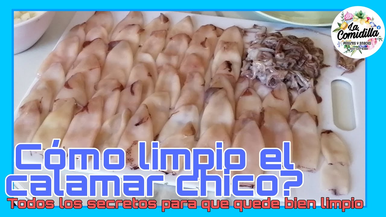 COMO LIMPIAR CALAMAR CHICO / Calamar Pequeño / Calamar Baby - YouTube