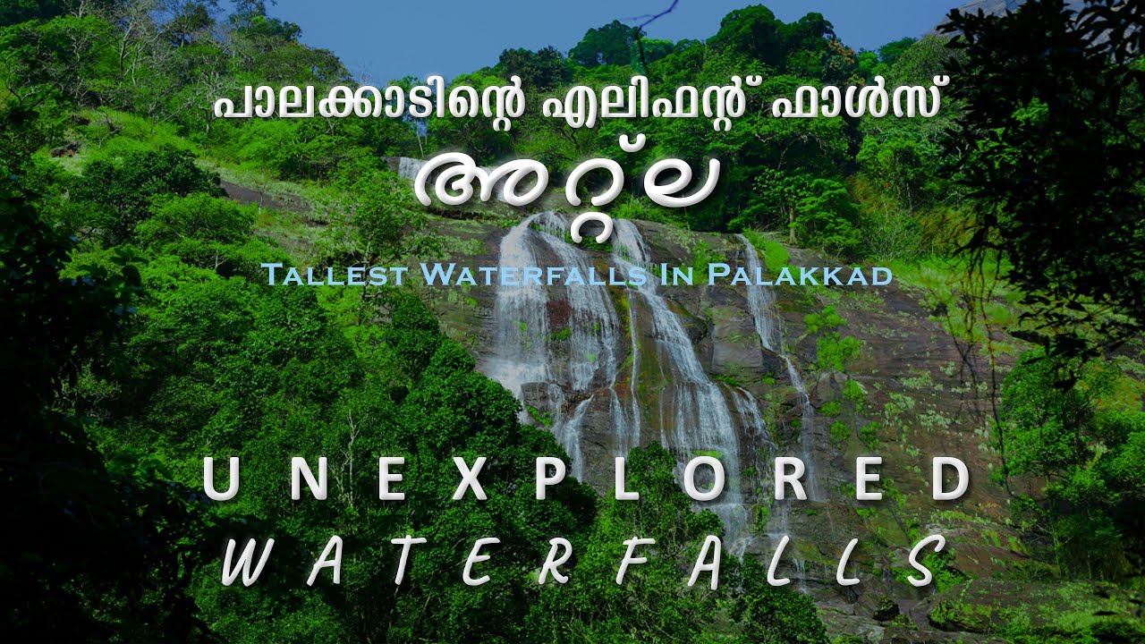 ATLA WATERFALLS| MEENVALLAM| കാടിനുനടുവിൽ ഒരു അടിപൊളി വെള്ളച്ചാട്ടം ...