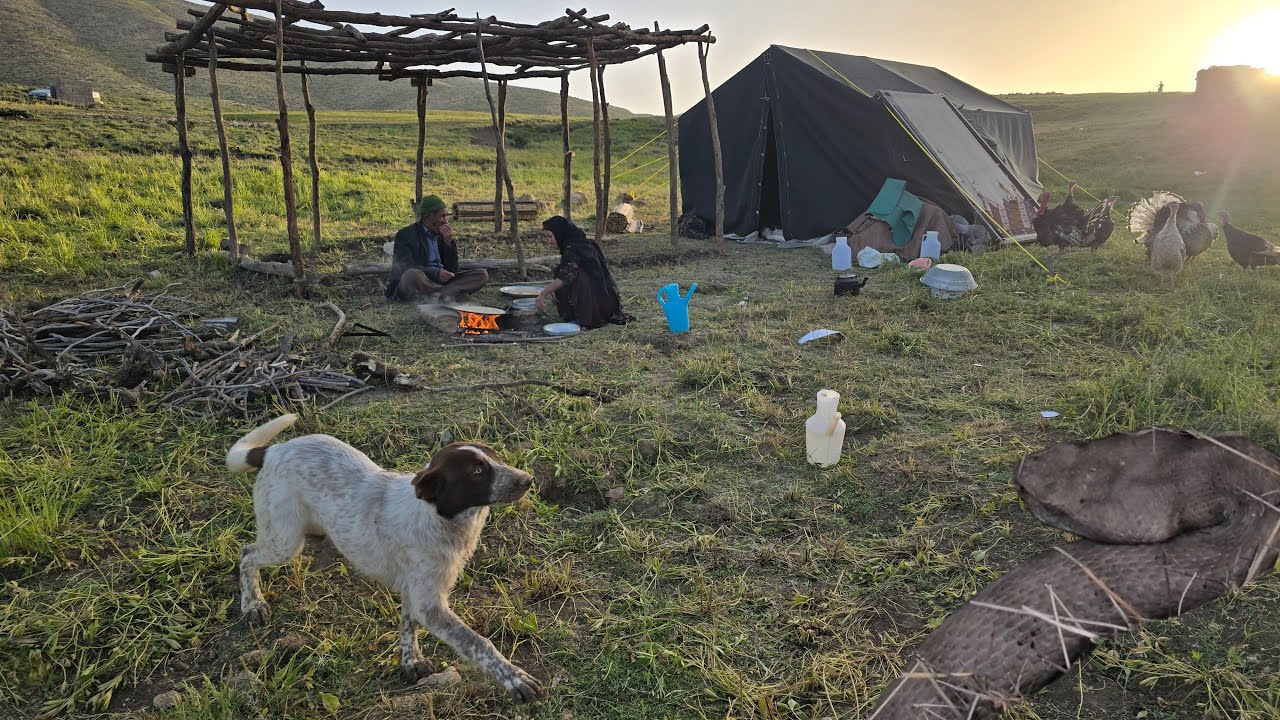 Nomadic Life: The Challenges of Living in the Heart of Nature; A True ...