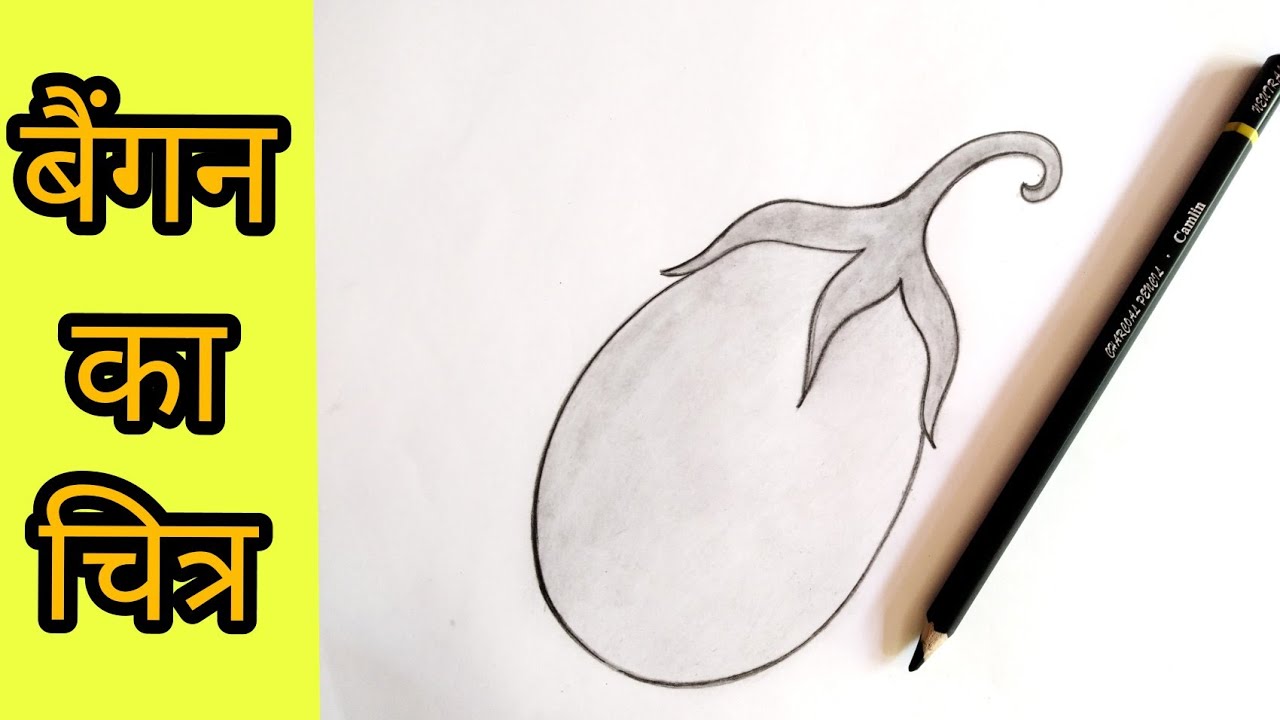How to draw brinjal, how to draw brinjal step by step,baigan ka chitra ...