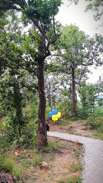 Day 9 Of Learning Python 😊 Viralvideo Learningpython Python Programming Programmer