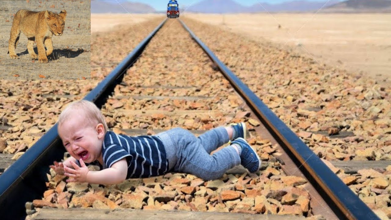 LION And Wolf on track try to stop train and saves the lonely on track ...