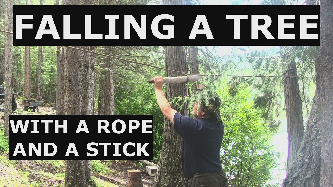Falling a problem tree using a rope and a stick. - YouTube