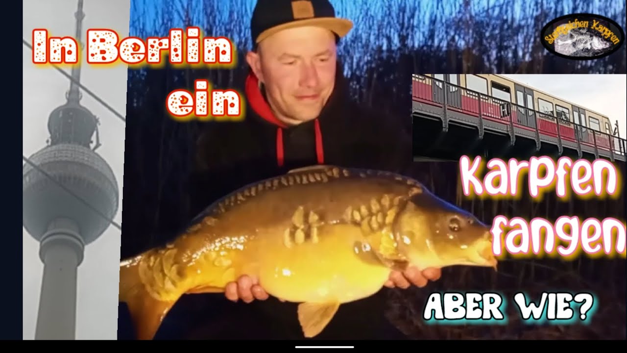 One Night Stand in Berlin! Carpfishing Urban $ angeln mal anders 👍 ...
