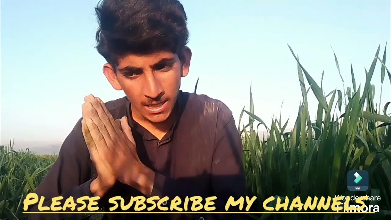 My frist velog ☀️ please subscribe my channels - YouTube