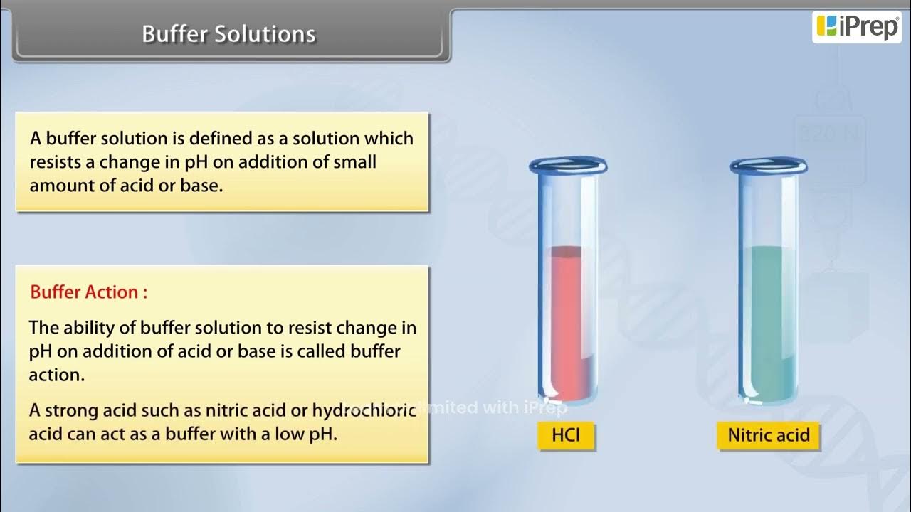 Buffer Solutions | Equilibrium | Chemistry | Class 11th | iPrep - YouTube