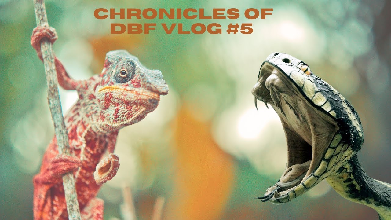 Chronicles of Dope Boi 4rsh Vlog #5 - YouTube