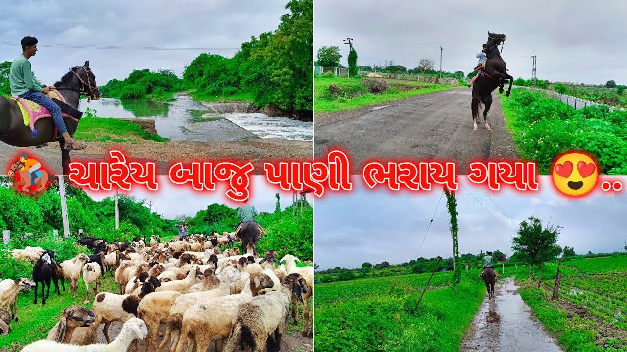 HORSE RIDING 🏇- ગારામાં | KANIYO VLOG MAKE FIRST TIME - COMEDY 🤣 ...