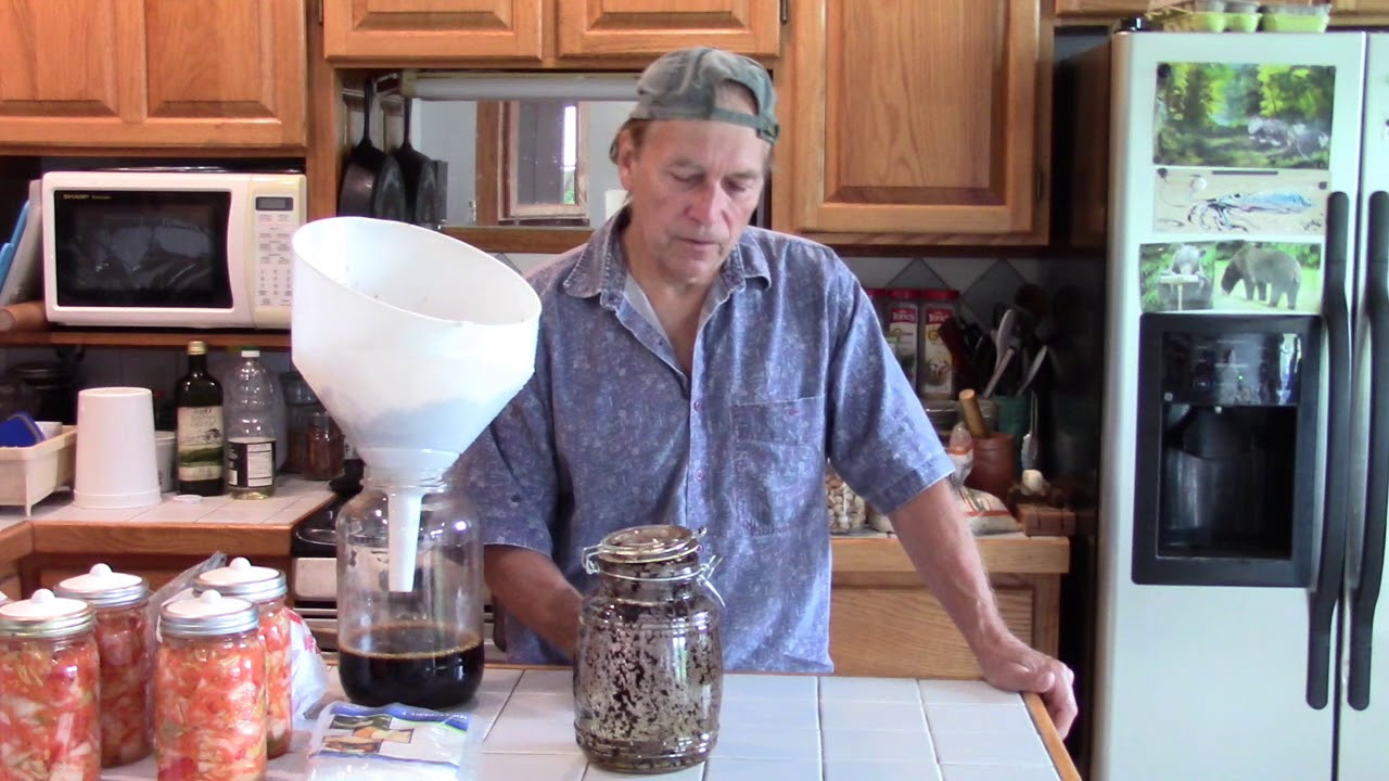 Making Chaga Tincture - YouTube