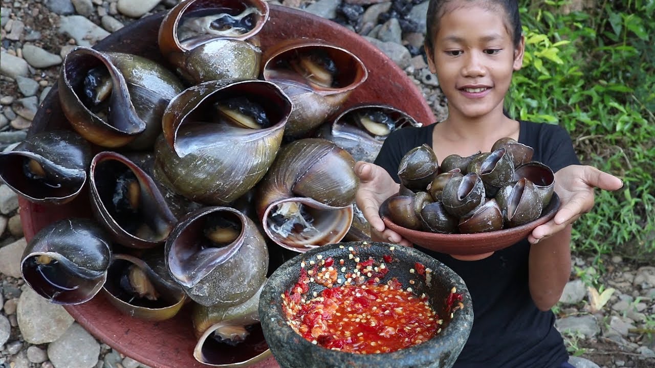 Catch And Cook Snails For Food Cooking Boiled Snails On Clay And Eating Delicious Ep 26 Youtube