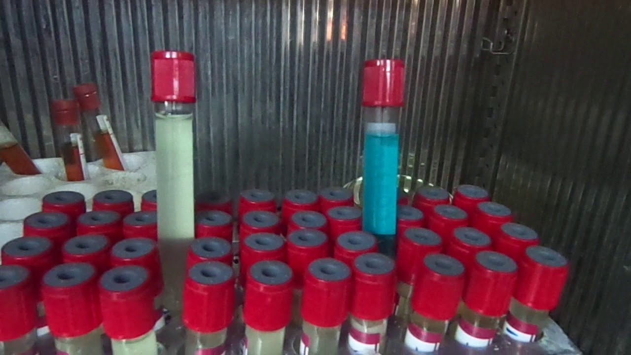 Rappaport Vassiliadis broth and XLD (Xylose Lysine Deoxycholate agar ...