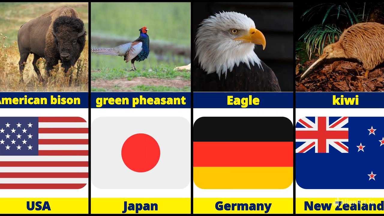 National Animals of TOP 20 Countries | National Pride of TOP Country ...