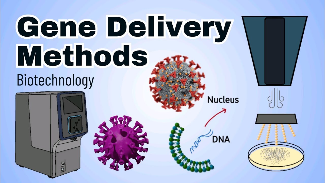 Gene Delivery Tools: Types, Methods, Applications, Advantages and ...
