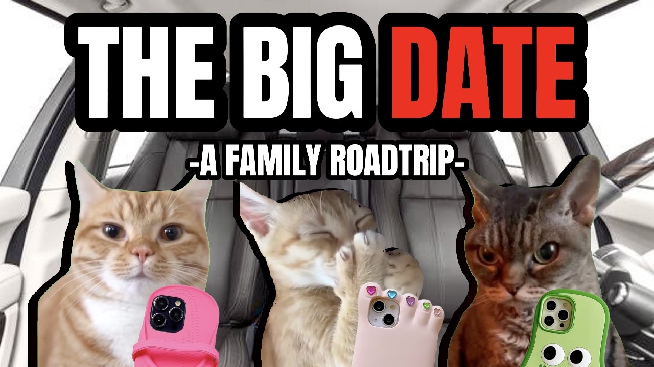 Cat MEMES: THE BIG DATE - YouTube